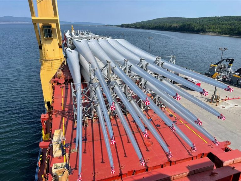 Expanding horizons: Welcoming MV Industrial Katharina and MV Industrial ...